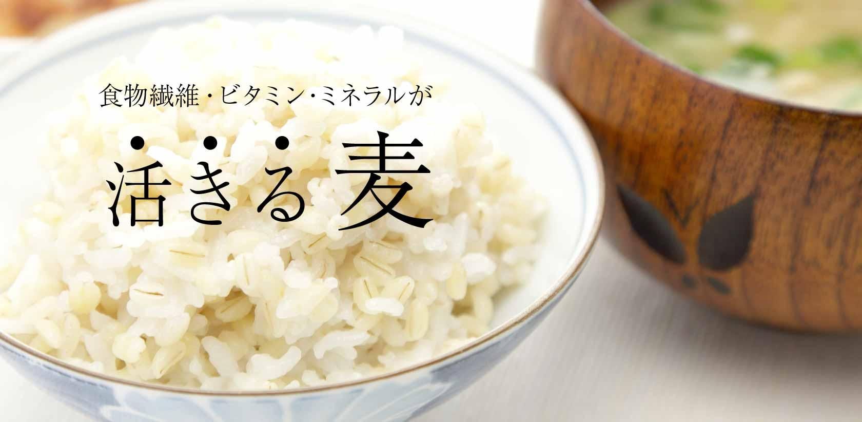 大麦と健康生活をサポートする仲間たち 腸活・菌活・温活の関係